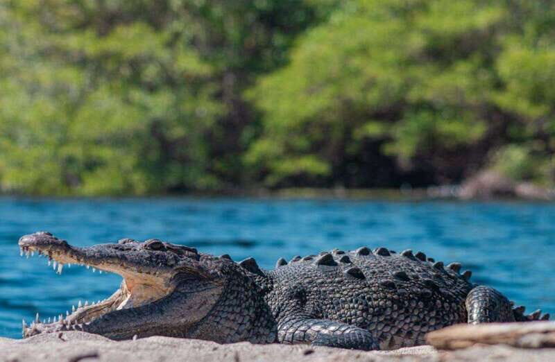 Huatulco:Ventanilla, Zipolite,Mazunte, and Puerto Angel Tour - Key Points