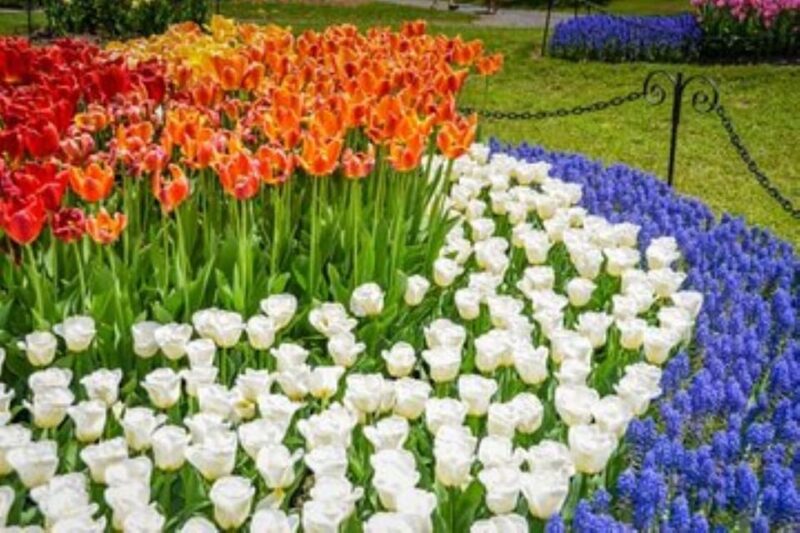 Hudson Valley: Craft Brewery Bike Tour - Who Will Love This Tour?