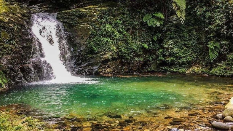 Hue: Bach Ma National Park Tour Trekking and Discovery - An In-Depth Look at the Tour Experience
