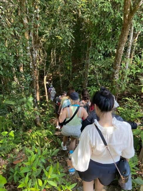 Hue: Bach Ma National Park Tour Trekking and Discovery - Practical Details and Tips