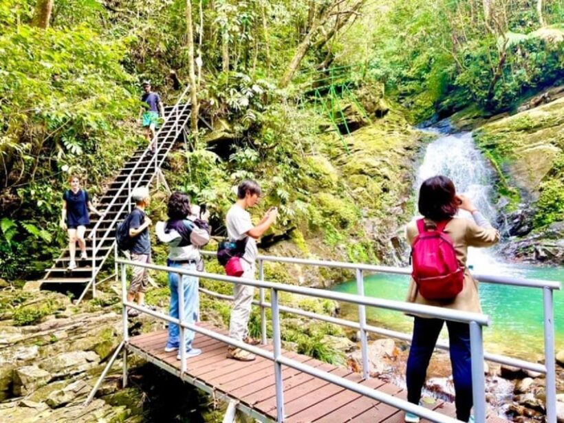 Hue: Bach Ma National Park Tour Trekking and Discovery - Authentic Insights from Past Travelers