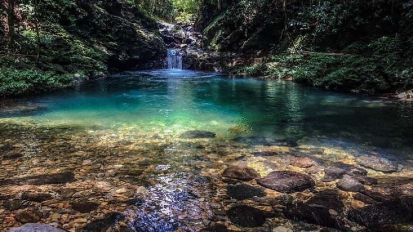 Hue: Bach Ma National Park Tour Trekking and Discovery - Final Thoughts: Who Will Love It?