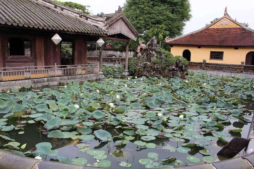 Hue Car Rental with Driver for Transfer Trip and Sightseeing - Key Points