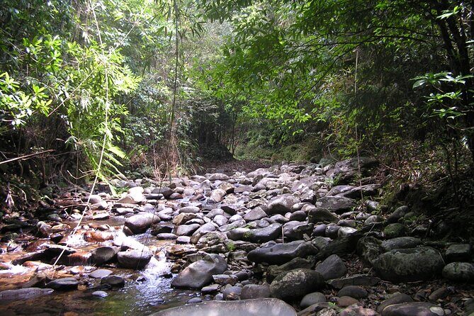 Hue: Full-day Bach Ma National Park Trek And Beach Retreat - What Travelers Say