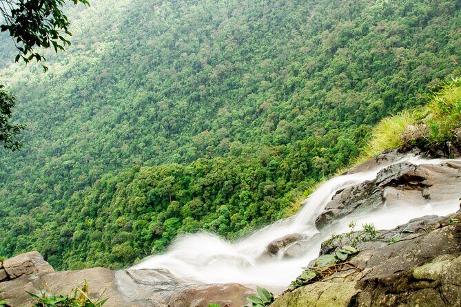 Hue: Full-day Bach Ma National Park Trek And Beach Retreat - Who Should Consider This Tour?