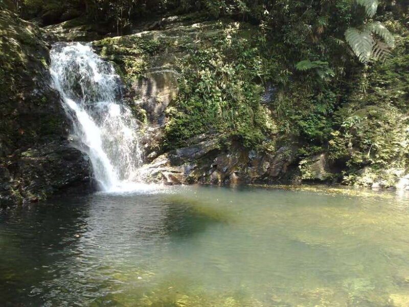 Hue: Full-day Bach Ma National Park Trek And Beach Retreat - Lunch with a View and Beach Time at Lang Co