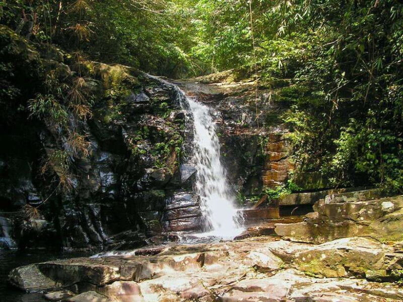 Hue: Full-day Bach Ma National Park Trek And Beach Retreat - Who Should Consider This Tour?