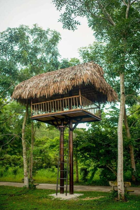 Hue: Full-day Natures Bliss From Hot Springs To Zip Line - FAQ