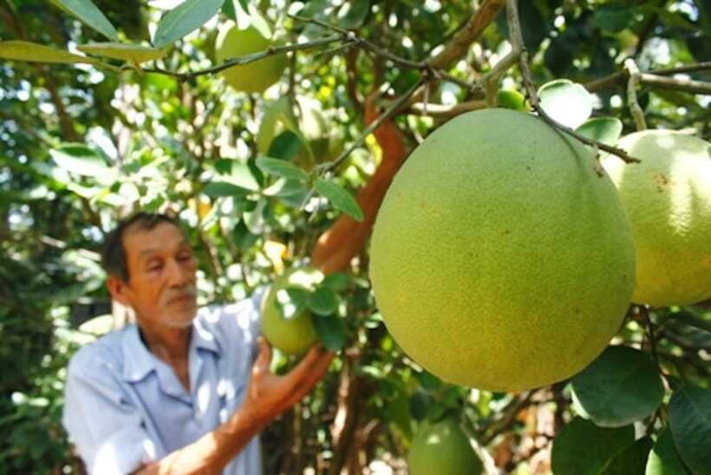 Hue: Half-day Thuy Bieu Village Cycling Adventure - The Practical Side: What’s Included and What to Consider