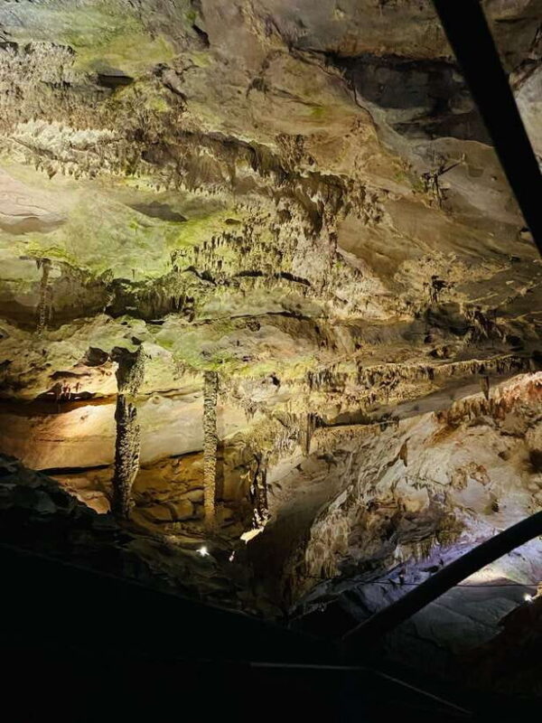 HUE - PHONG NHA CAVE GROUP TOUR ON ODD DAYS - What’s Included and What’s Not