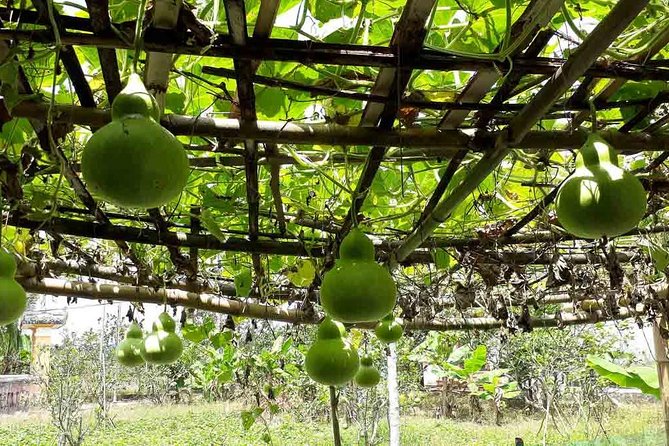 Hue Private tour to Thuy Bieu village 1 day - Who Should Consider This Tour?