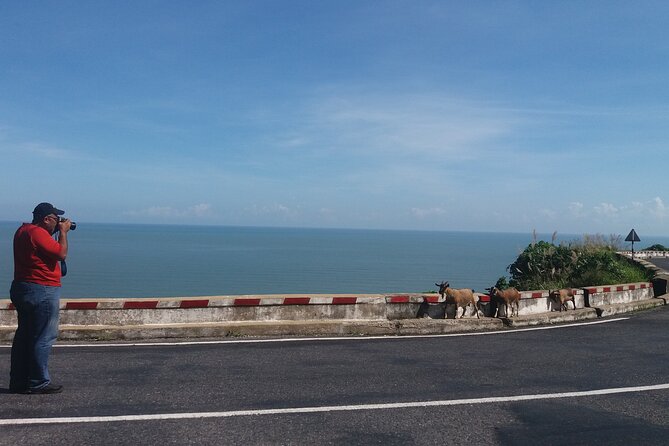 Hue to Hoi An by Private Car with Sightseeing Stops - Who Is This Tour Best Suited For?