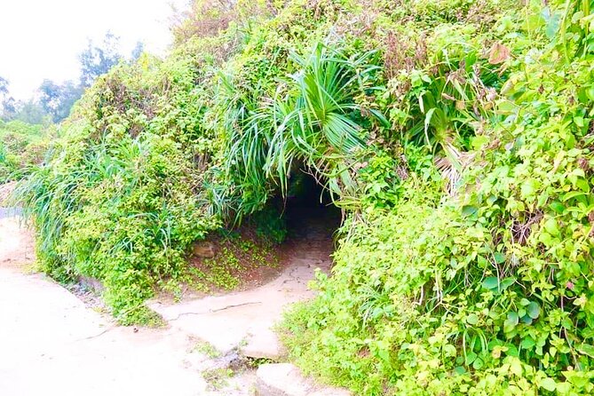 Hue To Phong Nha Cave Sightseeing Vinh moc Tunel DMZ - Practical Details and Tips