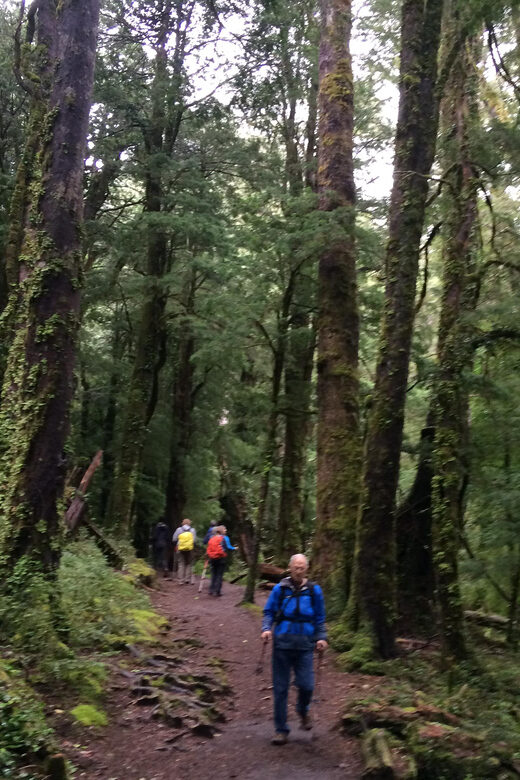 Huerquehue National Park full day - Practical Aspects: Transport, Guides, and Inclusions