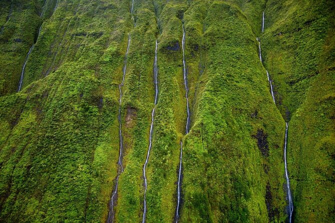 Hughes 500 4-Passenger Doors-Off Helicopters - Authentic Voices from Tour Reviewers