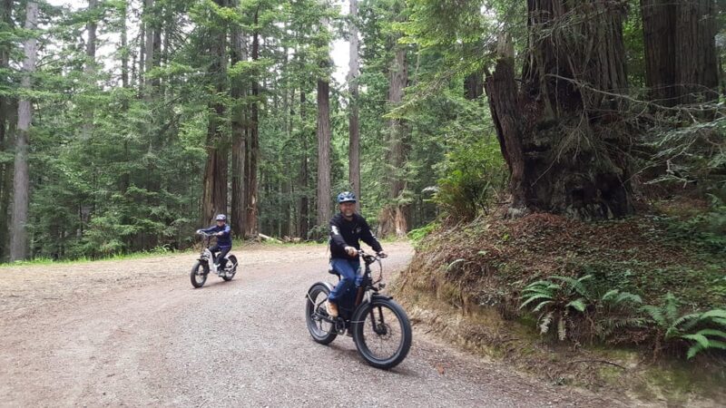 Humboldt: Electric Bike Rentals (4-Hour or Full Day options) - Cost and Value