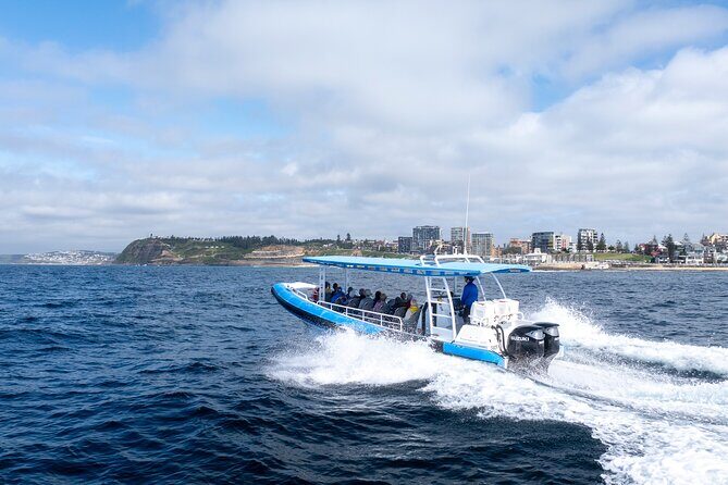 Humpback Whale Encounter Tour from Newcastle - The Itinerary: What You Can Expect