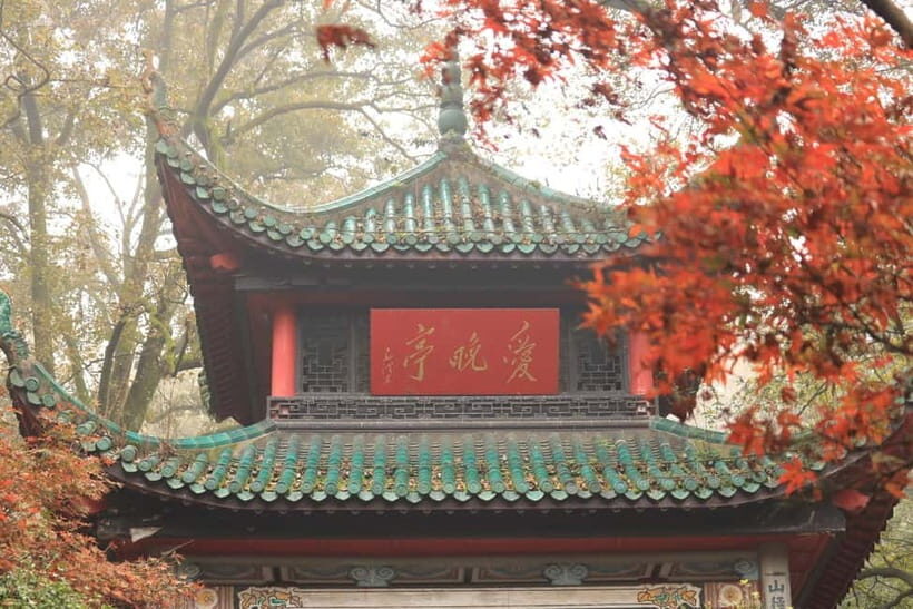 Hunan 1-Day Tour: Hunan Museum, Orange Isle, Yuelu Academy - Who Will Love This Tour?