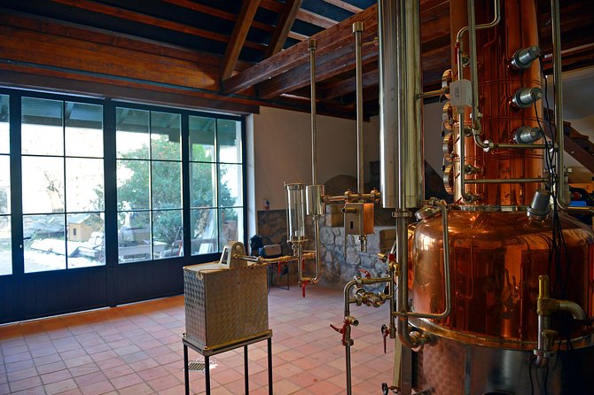 Hungarian Pálinka Distillery Visit and Tasting - Tips for First-Time Visitors to a Pálinka Distillery