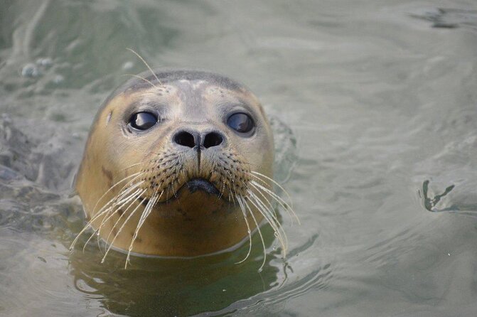 Hunstanton SEA LIFE Sanctuary General Admission Ticket - Admission Details and Pricing