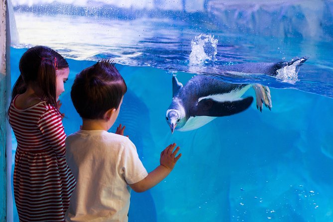 Hunstanton SEA LIFE Sanctuary General Admission Ticket - Visitor Tips and Recommendations