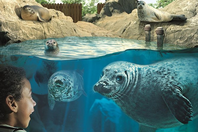 Hunstanton SEA LIFE Sanctuary General Admission Ticket - Since You Asked