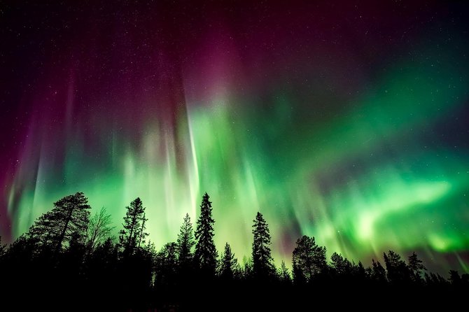 Hunt for the Northern lights in Kiruna - Abisko - What’s Included and What’s Not