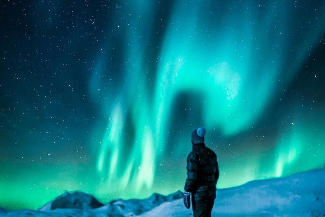 Hunt for the Northern lights in Kiruna - Abisko - The Experience: Why It Works