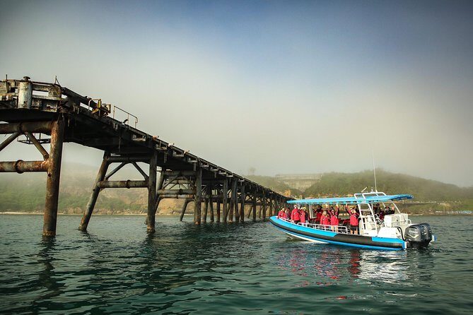 Hunter Coastal Adventure Tour by Boat from Newcastle - Key Points