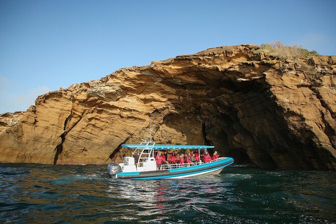 Hunter Coastal Adventure Tour by Boat from Newcastle - What Makes This Tour Stand Out?