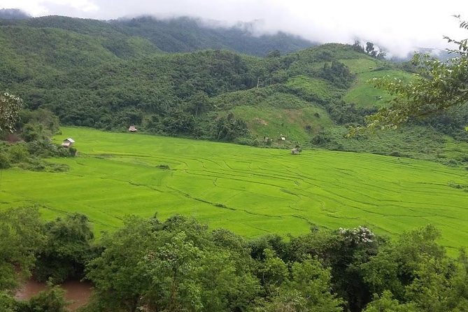 Hunter Trails, 3 days difficult trekking with Camping & Homestay - Key Points