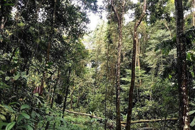 Hunter Trails, 3 days difficult trekking with Camping & Homestay - Final Thoughts: Who Will Love Hunter Trails?