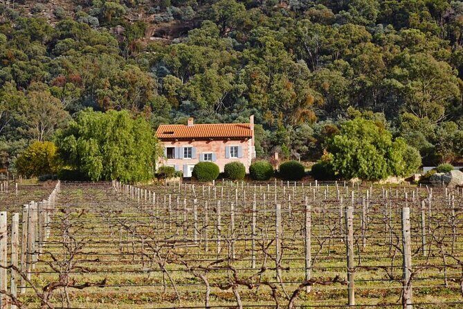Hunter Valley Boutique Wine Tour with 3 Tastings | From Sydney - Final Thoughts