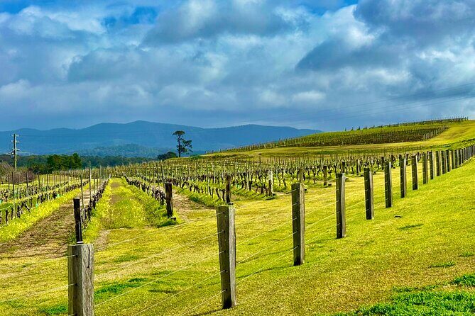 Hunter Valley Escape A Day of Wine Art and Aussie Countryside - An In-Depth Look at Hunter Valley Escape: What to Expect
