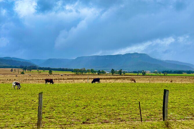 Hunter Valley Escape A Day of Wine Art and Aussie Countryside - The Practical Side: What’s Included and What’s Not