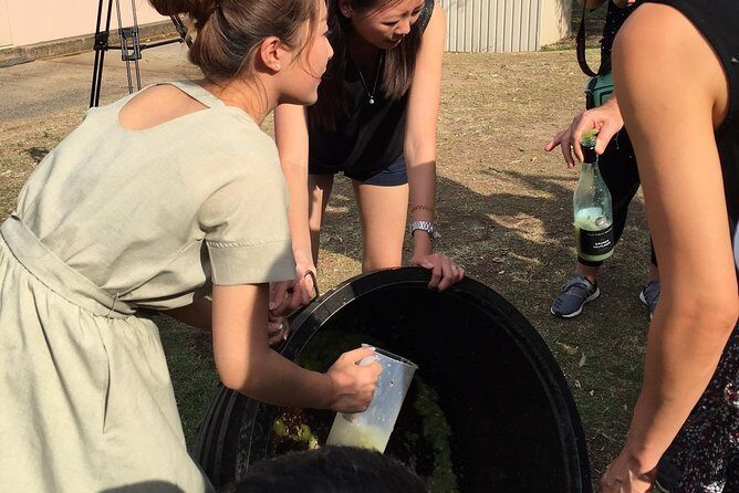 Hunter Valley Grape Stomping - Final Thoughts: Is It Worth It?