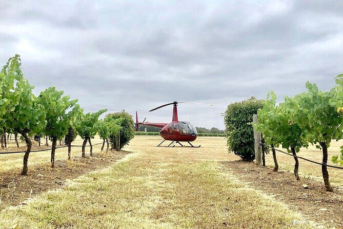 Hunter Valley Helicopter Tour with a Bubbly Breakfast - Key Points
