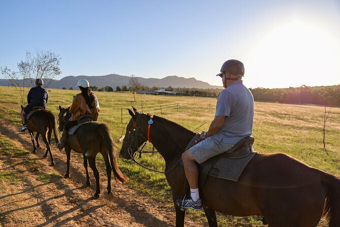 Hunter Valley Horse Ride - 90 Minutes -Vineyard & Mountain Views - Key Points