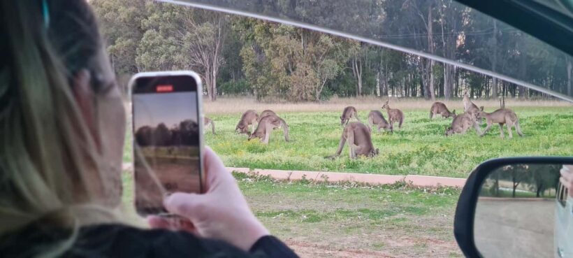 Hunter Valley: Private Wine, Cheese, and Chocolate Tour - Exploring the Itinerary: A Day in the Hunter Valley