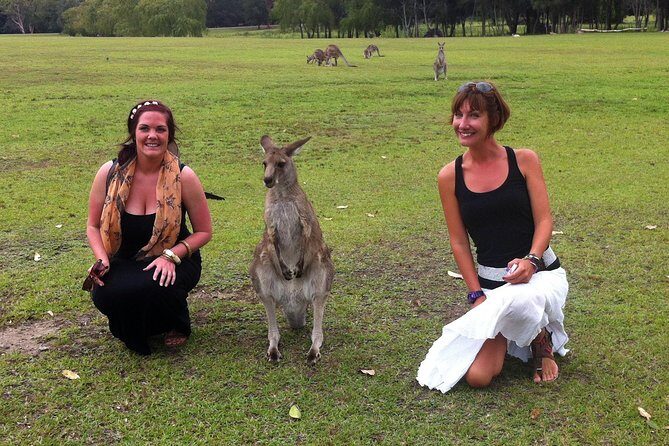 Hunter Valley Private Wine Tasting Tour from Sydney - Why This Tour Offers Good Value