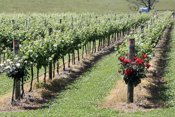 Hunter Valley Private Wine Tasting Tour from Sydney - Frequently Asked Questions