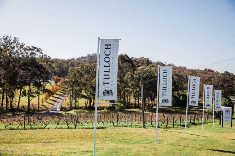 Hunter Valley: Tasting of 6 Shiraz Vintages at Tulloch Wines - A Closer Look at the Vintages