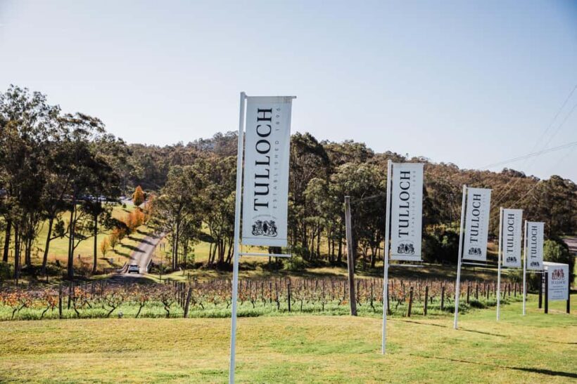 Hunter Valley: Tulloch Wines Wonnarua Sparkling Tasting - Who Will Love This Tour?
