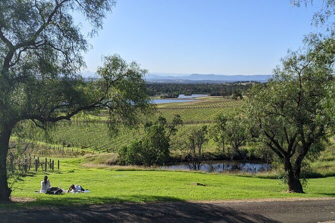 Hunter Valley wine and cheese starting from the Hunter region - Pricing and Value
