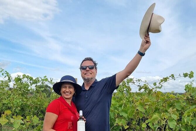 Hunter Valley Wine and Cheese Tasting Day Tour from Sydney - Value and Practicality