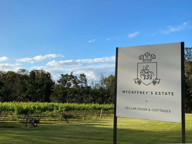Hunter Valley: Wine and Cheese Tasting Experience - Key Points