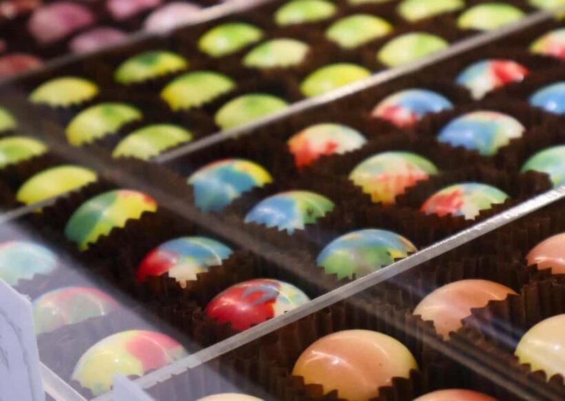 Hunter Valley: Wine, Chocolate and Lunch All Inclusive Tour - Final Thoughts
