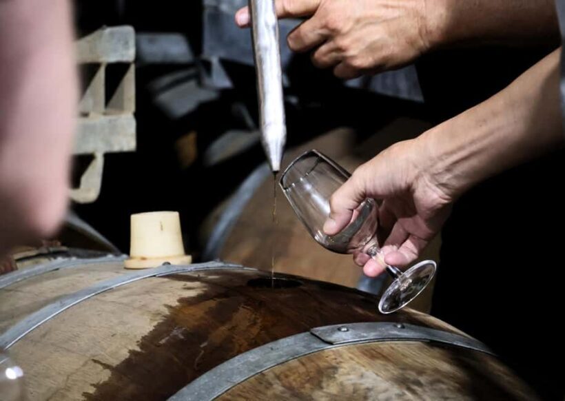 Hunter Valley: Wine, Chocolate and Lunch All Inclusive Tour - FAQ