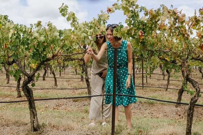 Hunter Valley Wine, Food & Vine Tour with Behind the Scenes - An In-Depth Look at the Hunter Valley Tour