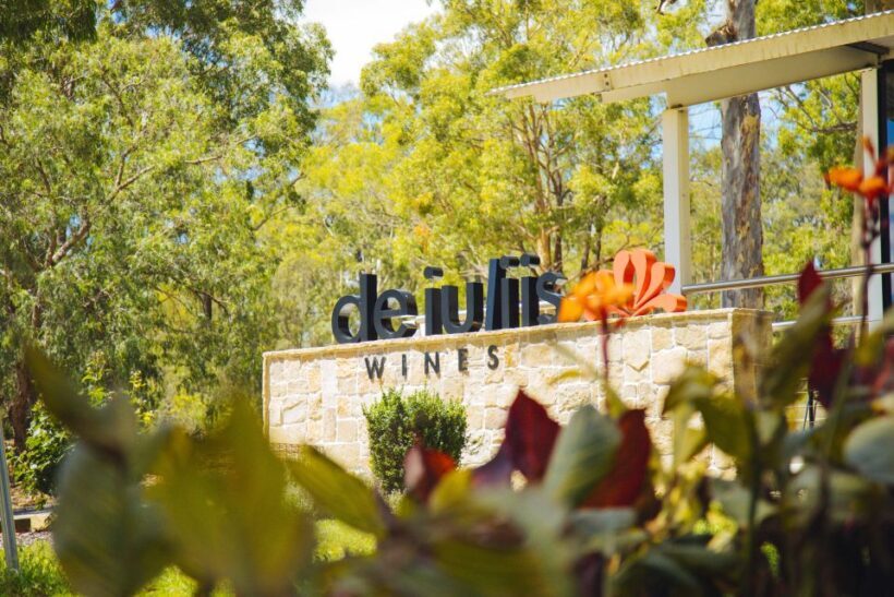 Hunter Valley: Wine, Spirits, and Cheese Tour with Lunch - Practical Tips for Your Day Out
